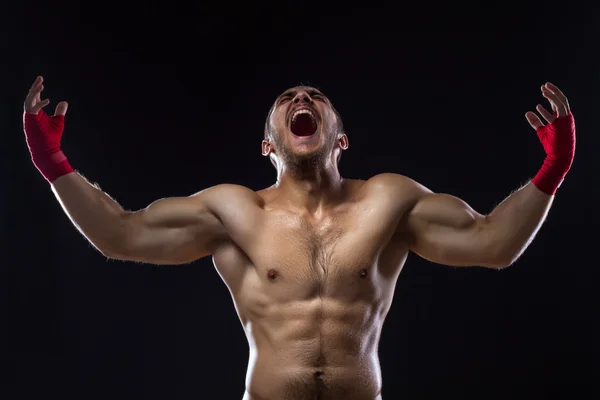 Mma man Stock Photos, Royalty Free Mma man Images | Depositphotos