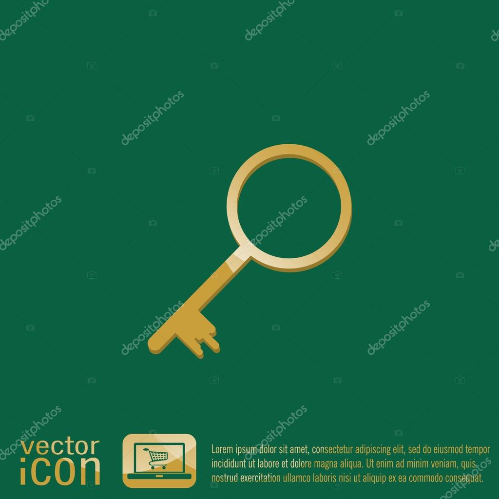 Icono del símbolo clave Vector de stock #79599126 de ©Little_cuckoo