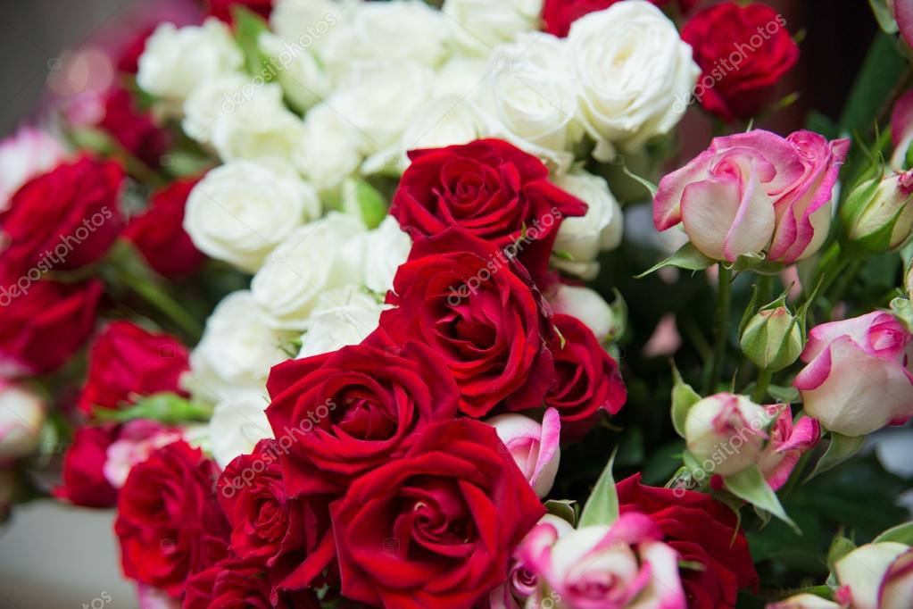 Red and White roses Stock Photo by ©kopitin 57630355