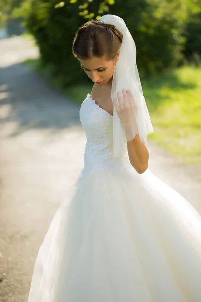 Bride running away Stock Photos, Royalty Free Bride running away Images ...