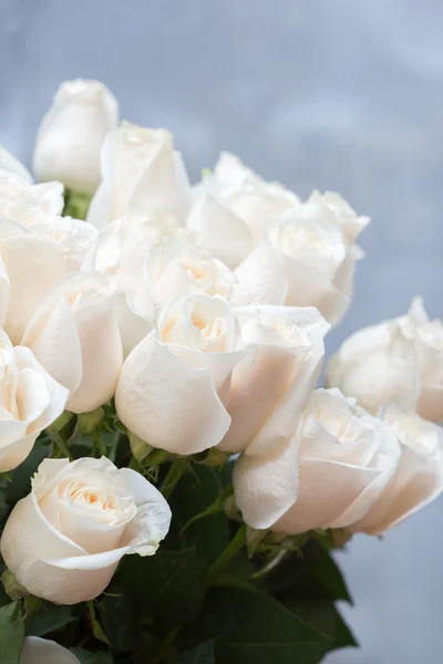 Bunch of white rose — Stock Photo © Marifa #6399138