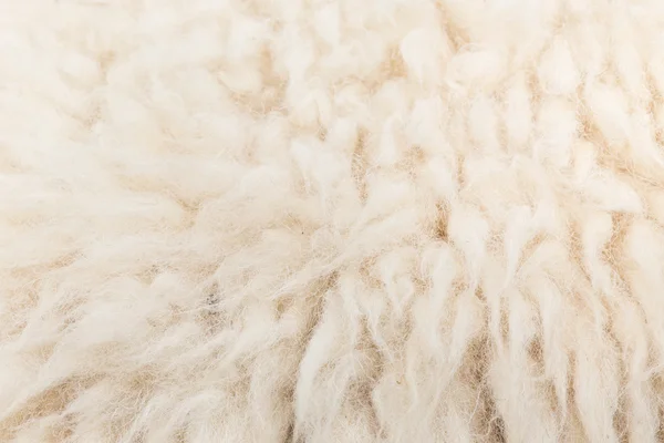 Wool fleece Stock Photos, Royalty Free Wool fleece Images | Depositphotos
