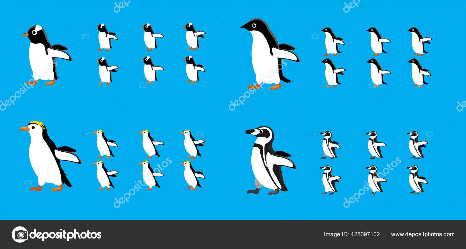 动物动画序列 Chinstrap Adelie Royal Penguin Cartoon Vector 图库矢量图©Punnawich ...