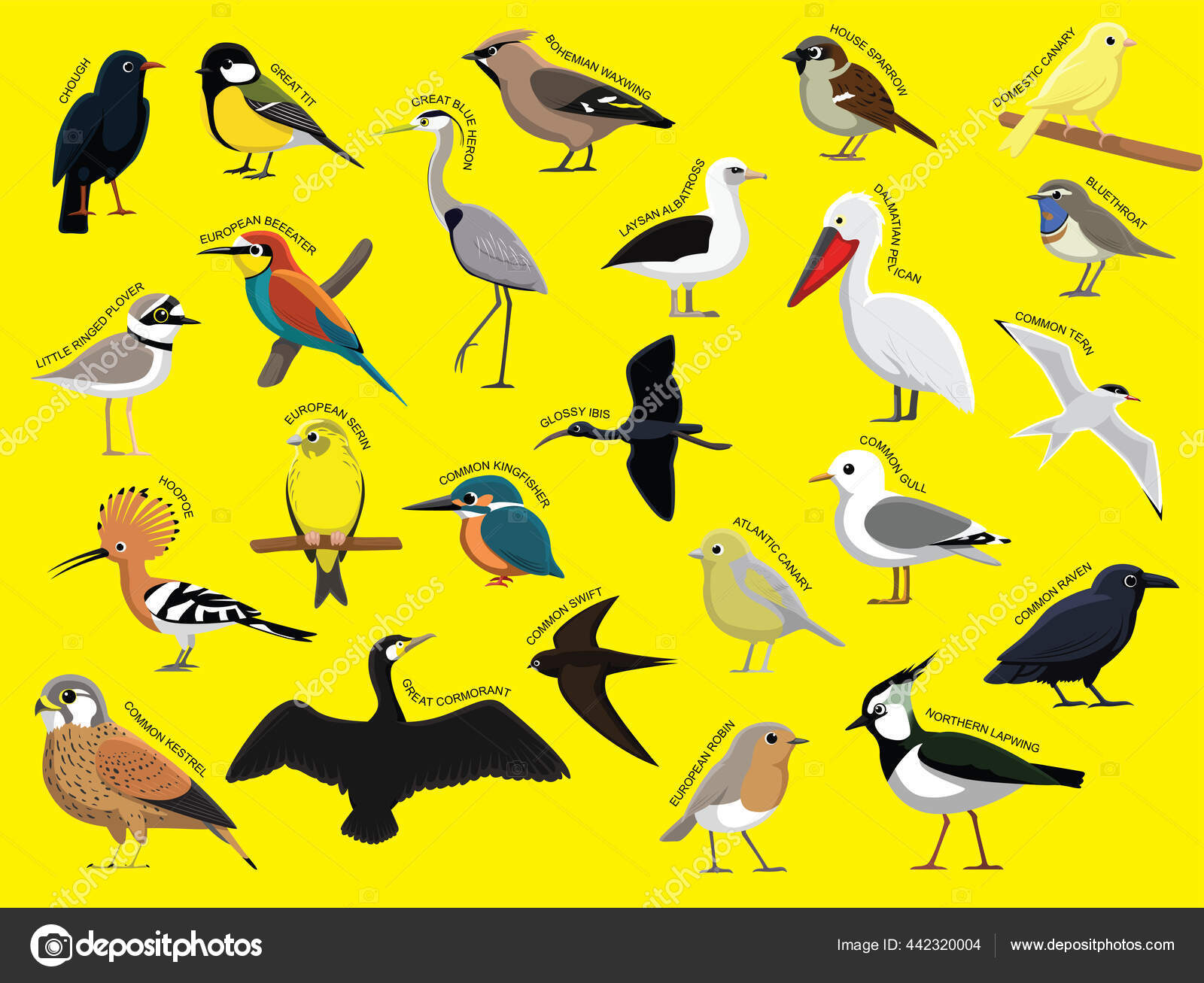 Europe Birds Name Cartoon Character Set Stock Vector Image by ...