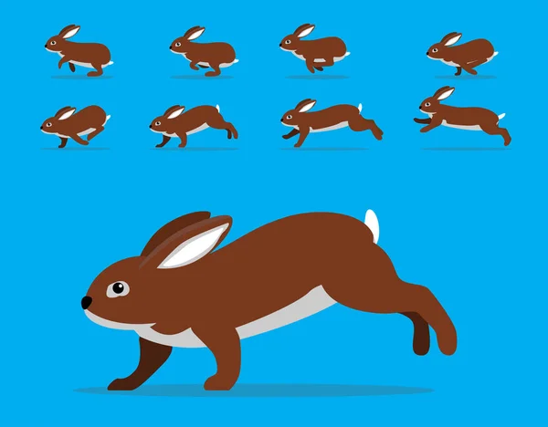 Rabbit Running Sequence