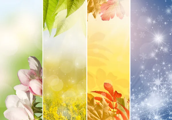 seasons - Stock Image - Everypixel