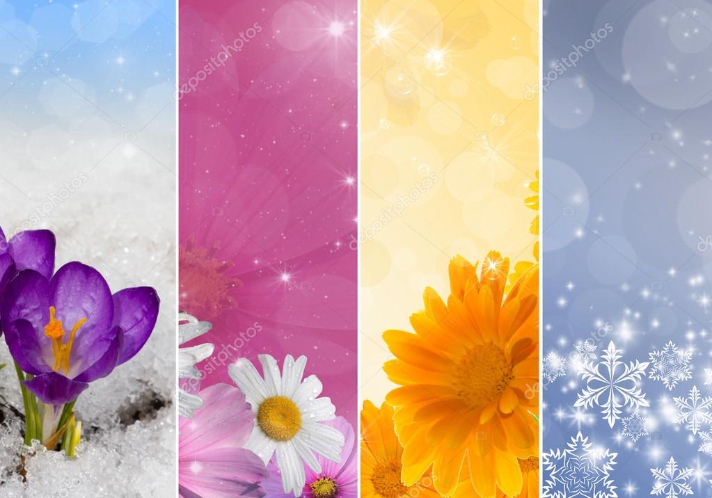 Seasons — Stock Photo © 02irina #67300011