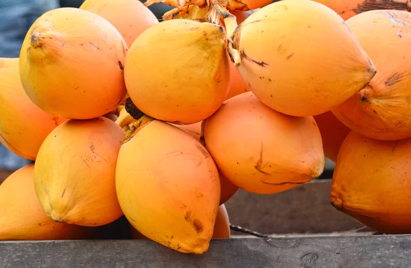 King coconuts Stock Photos, Royalty Free King coconuts Images ...