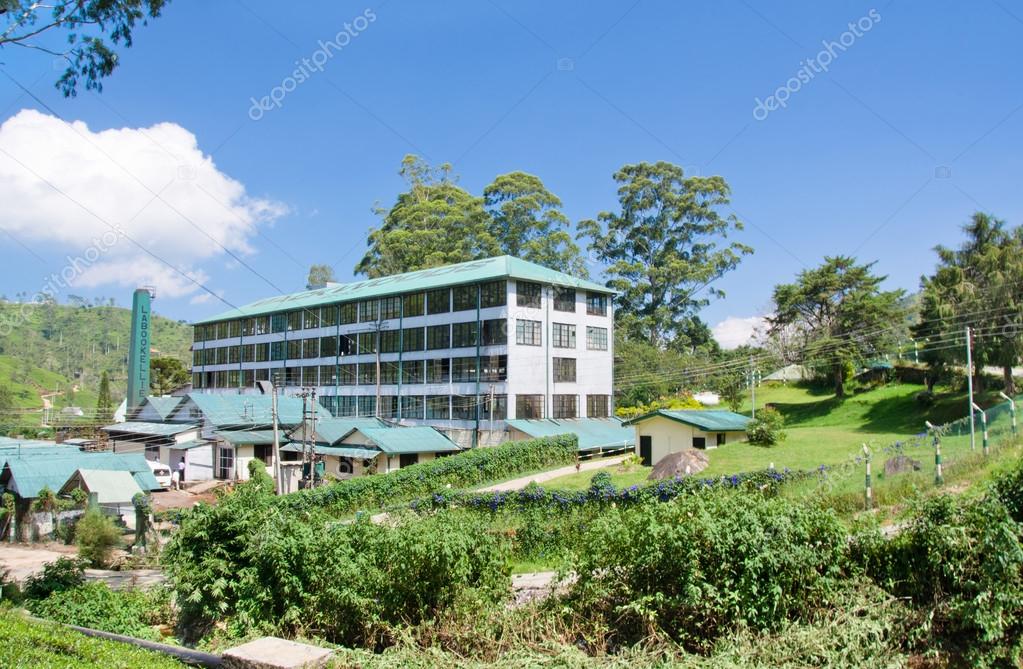 Mackwoods labookellie tea factory and tea centre, Sri lanka — Stock ...