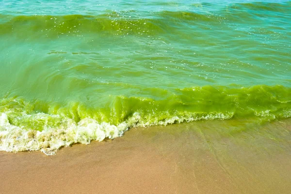 Green sea water Stock Photos, Royalty Free Green sea water Images ...