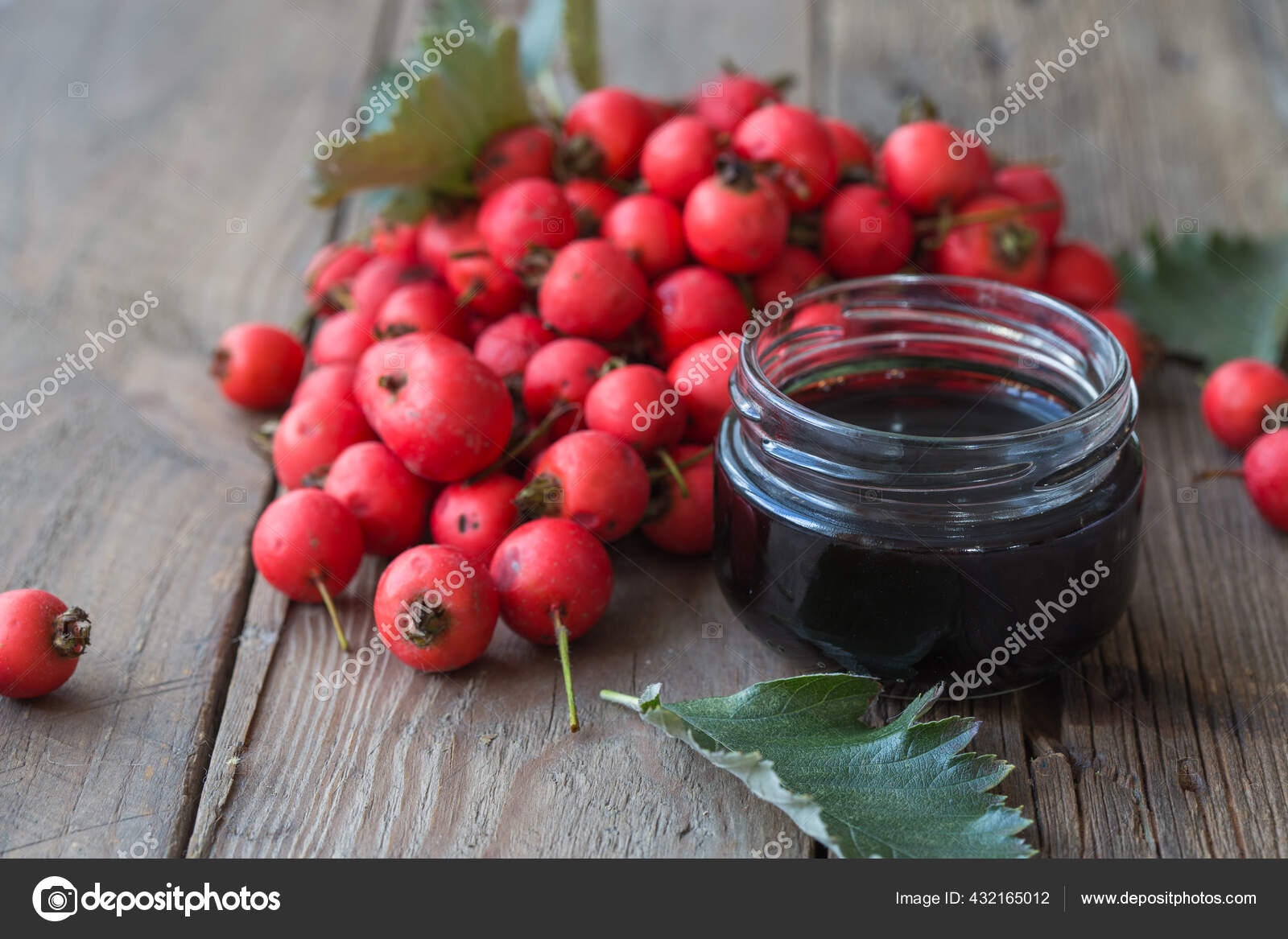 Fruit Crataegus Commonly Called Hawthorn Thornapple May Tree Whitethorn ...