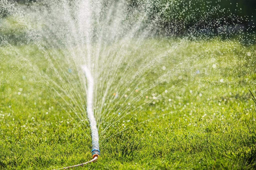 Micro spray tape garden watering — Stock Photo © PEPPERSMINT #73530077