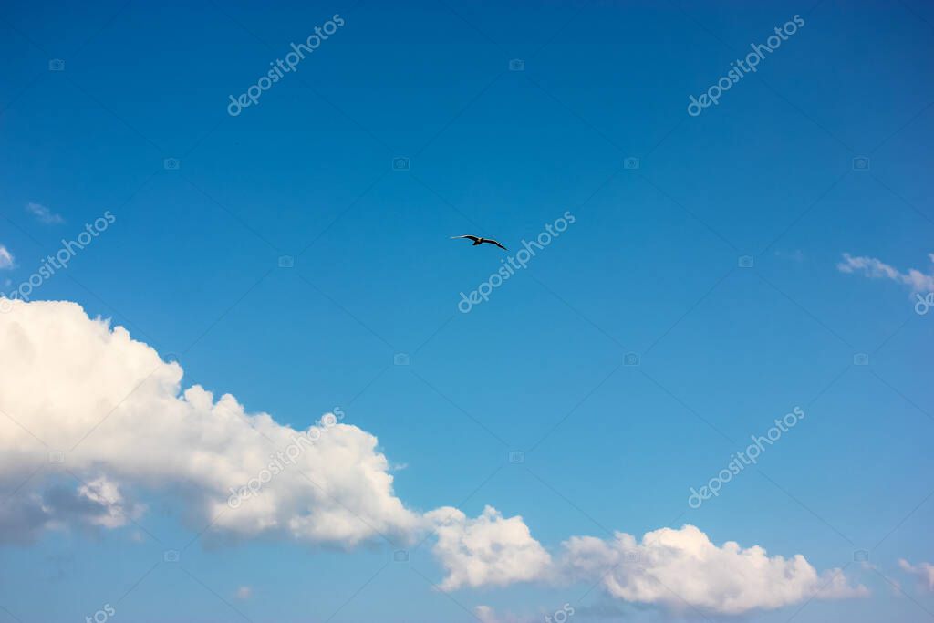 Un cielo azul con pintorescas nubes blancas rizadas. Una silueta de un ...
