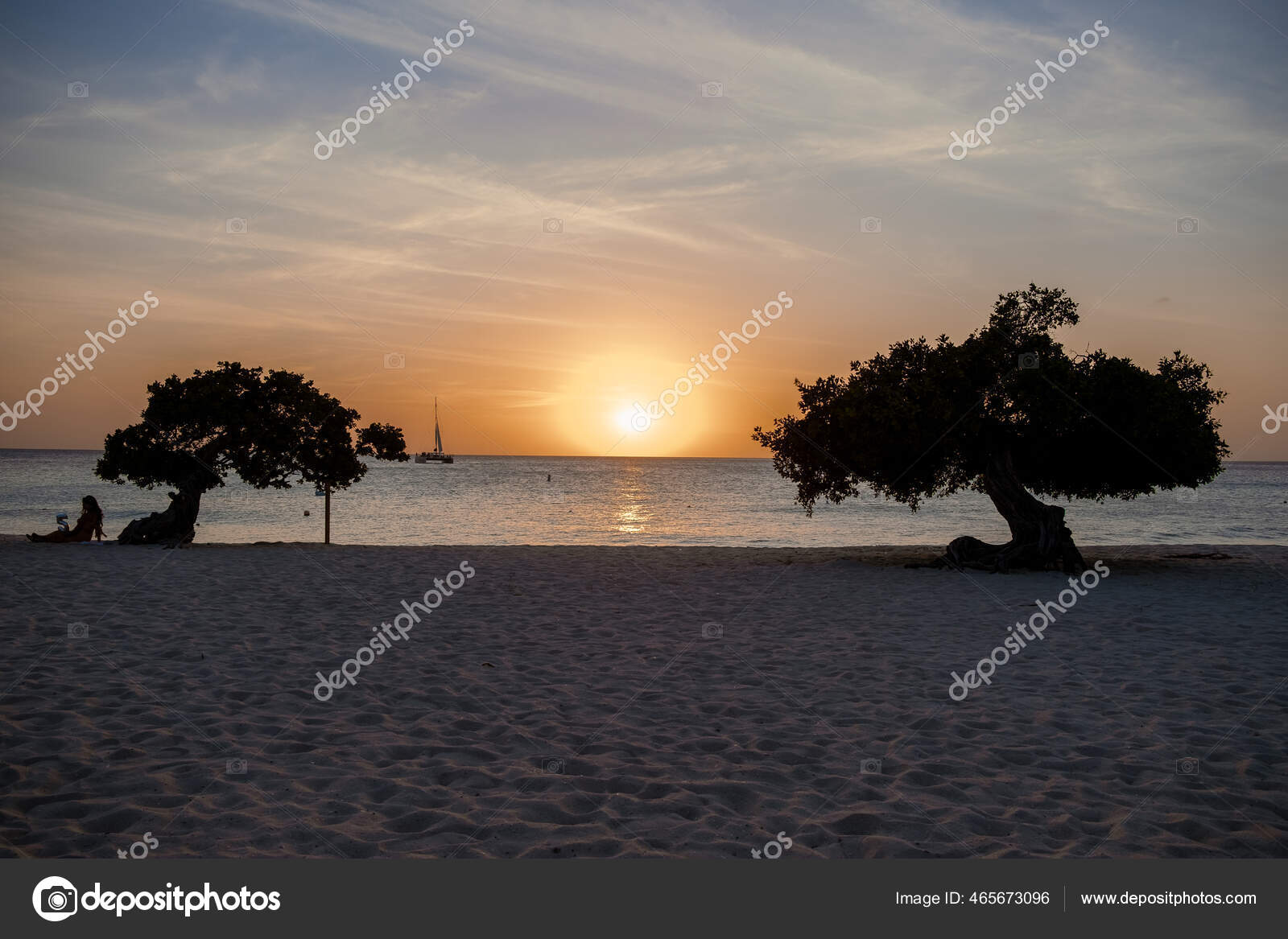 Árboles de Buceo Divi en la costa de Eagle Beach en Aruba — Foto de ...