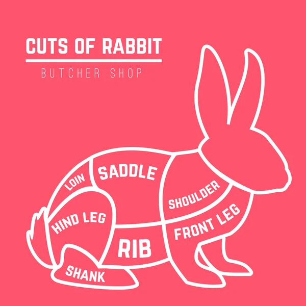 40 Raw rabbit meat Vector Images | Depositphotos