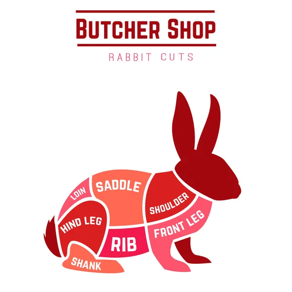 40 Raw rabbit meat Vector Images | Depositphotos