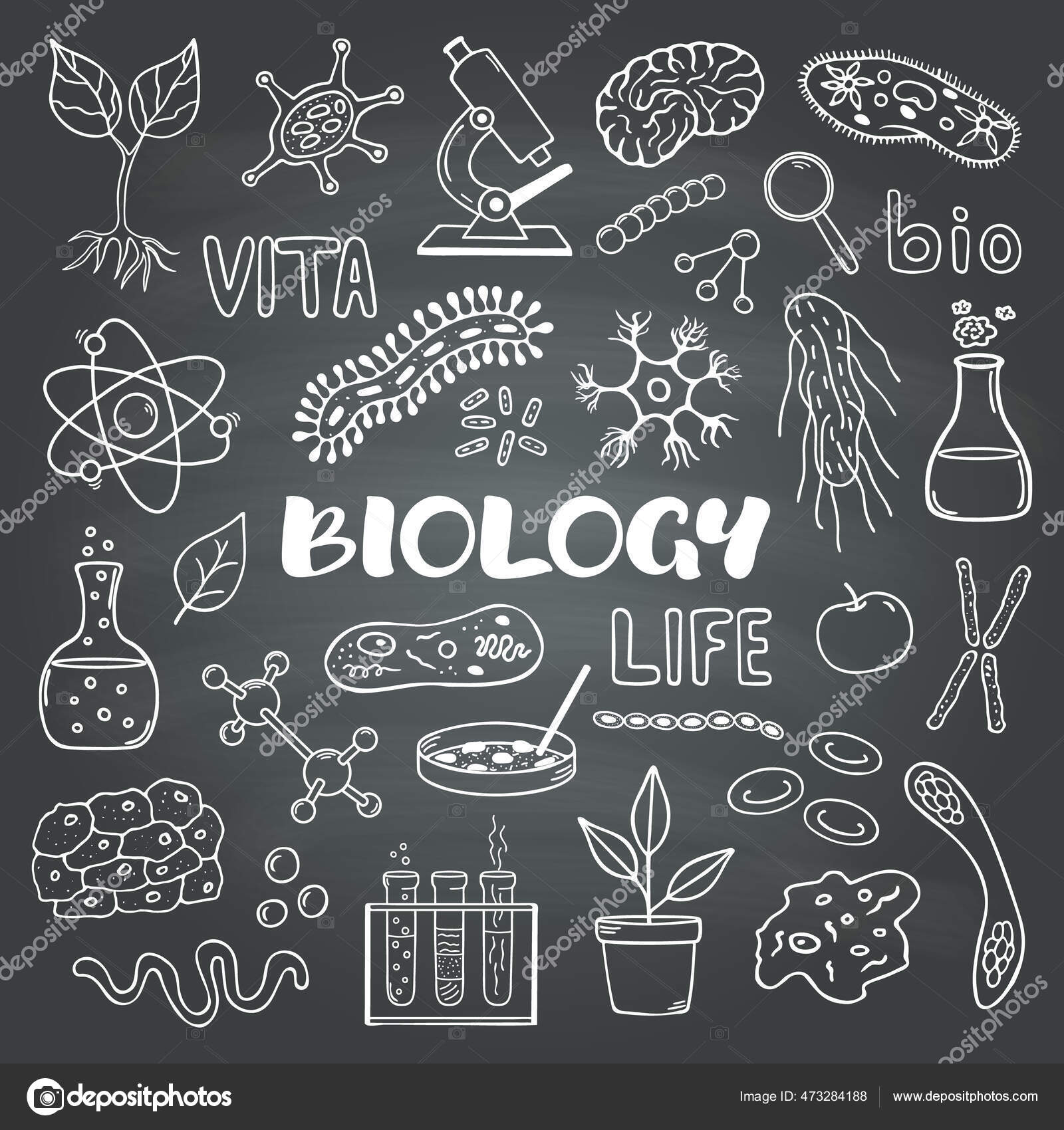 Biology Set Vector Hand Drawn Elements Stock Vector by ©ovz777 473284188