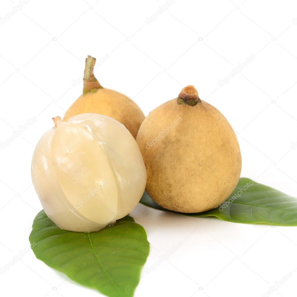 Fresh Longkong ,Langsat or Lanzones fruit is endemic to Southeas Stock ...