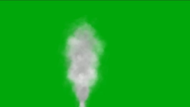 White Smoke Motion Graphics Green Screen Background — Stock Video © devendarreddy307 #437541592
