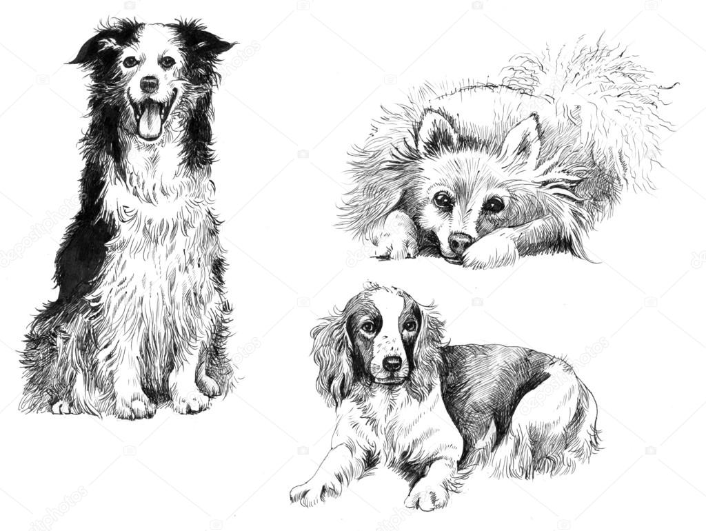 Hand drawn dogs Stock Photo by ©Kostan-PROFF 112508904