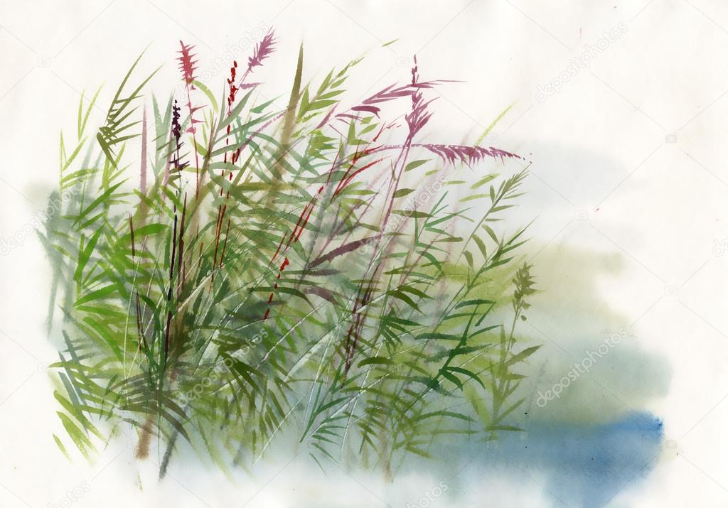 Nature landscape with reeds Stock Illustration by ©Kostan-PROFF #120692128