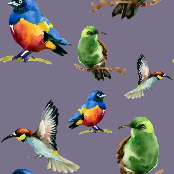 Beautiful birds template Stock Photos, Royalty Free Beautiful birds ...