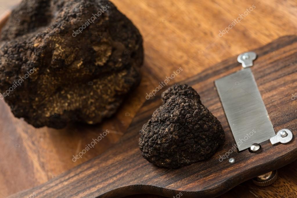 Delicada trufa negra de setas — Foto de stock #60220119 © sarymsakov