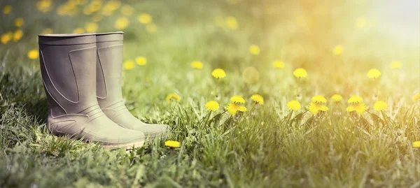 Wellies Stock Photos, Royalty Free Wellies Images | Depositphotos