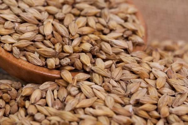 Malta de cebada Stock Photos, Royalty Free Malta de cebada Images ...