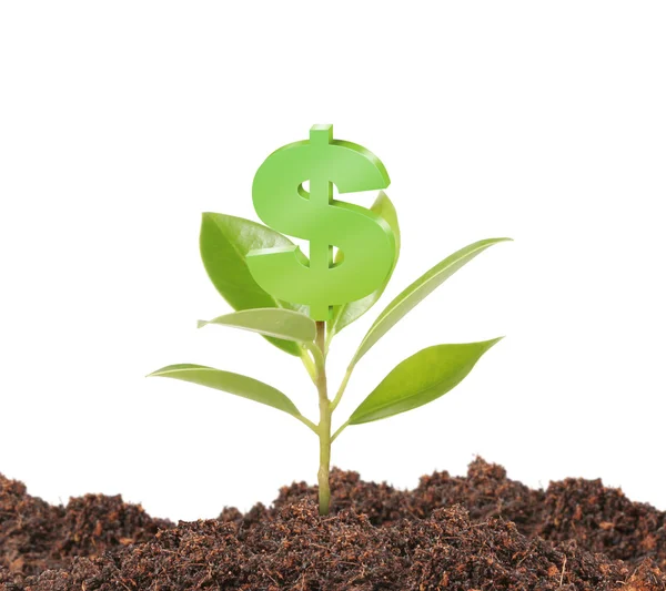Money growing Stock Photos, Royalty Free Money growing Images ...