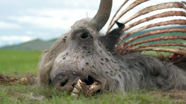 5,813 Dead body Videos, Royalty-free Stock Dead body Footage ...