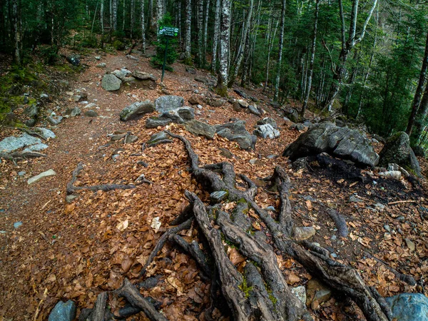 Top notch trail fotos de stock, imágenes de Top notch trail sin ...