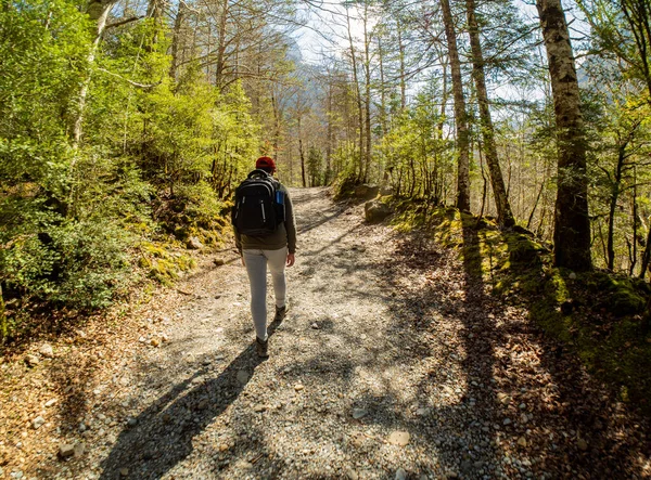 walk through the national park of ordesa and lost mount located in the ...