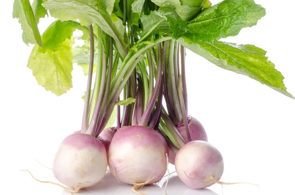 Bunch of fresh turnips Stock Photo by ©thodonal 81559252