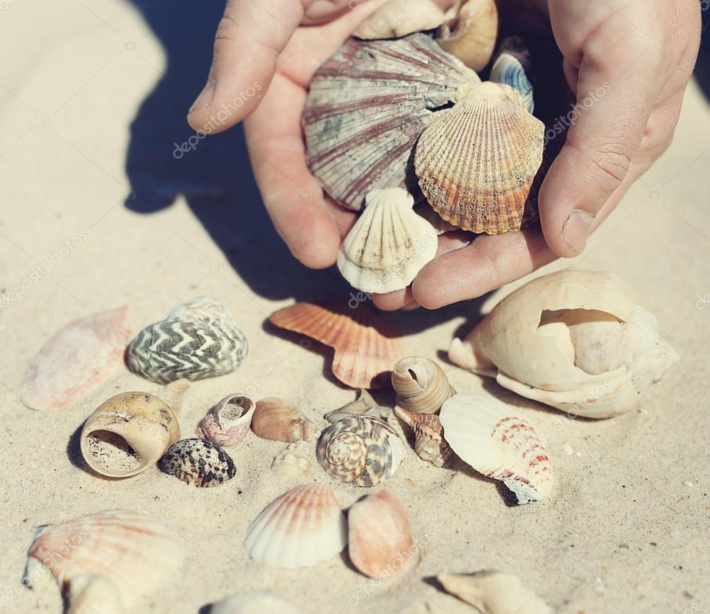 Hands holding seashells Stock Photo by ©Yulia_von_Eisenstein 112397314