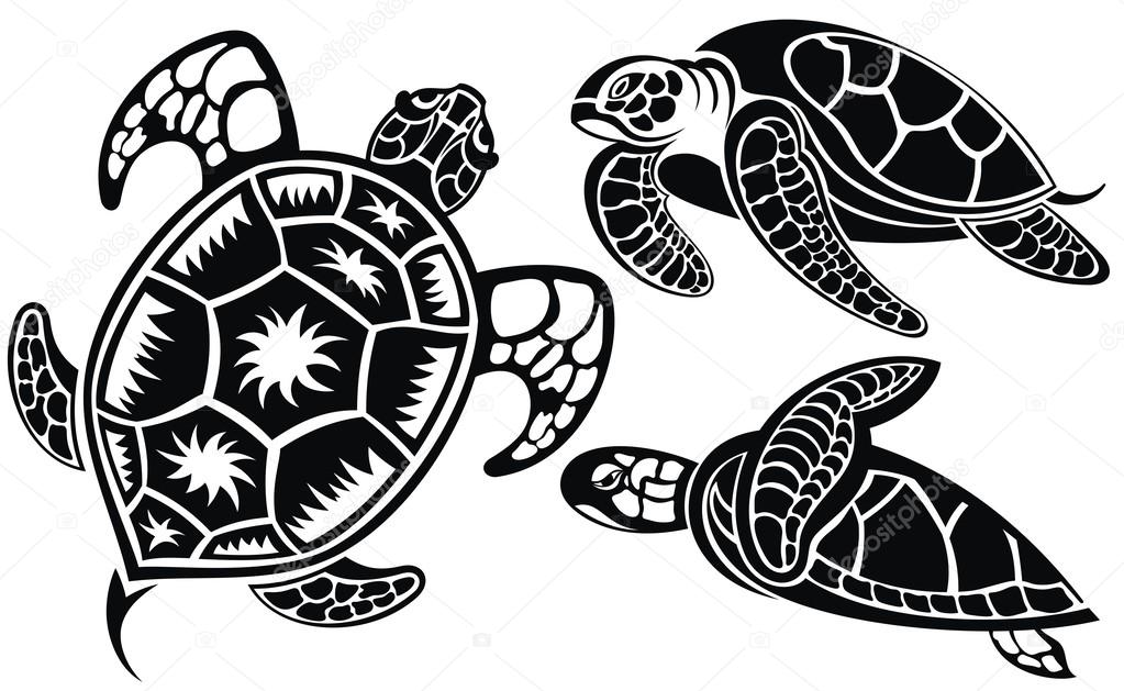 Turtle Vector