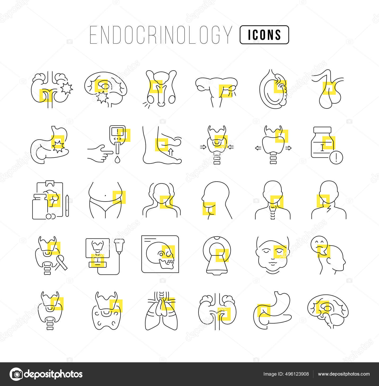 Endocrinology Collection Perfectly Thin Icons Web Design App Most ...