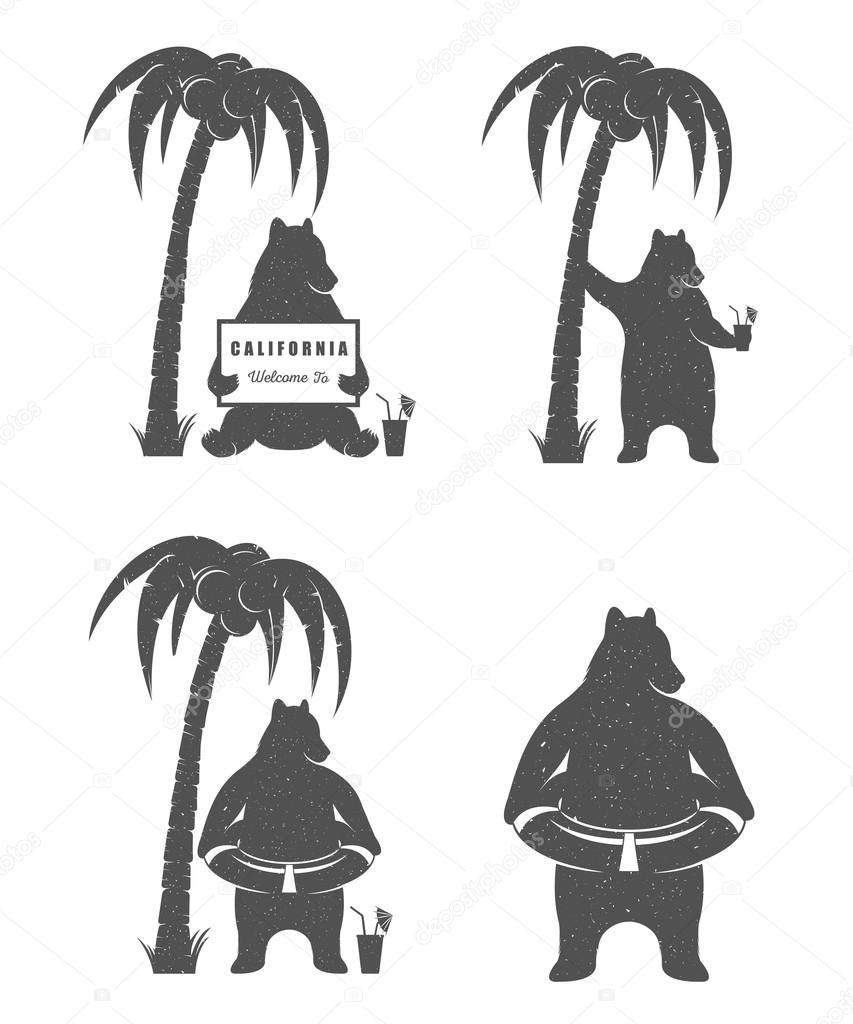Set Bear Symbols Stock Vector Image by ©andrei45454 #83028020