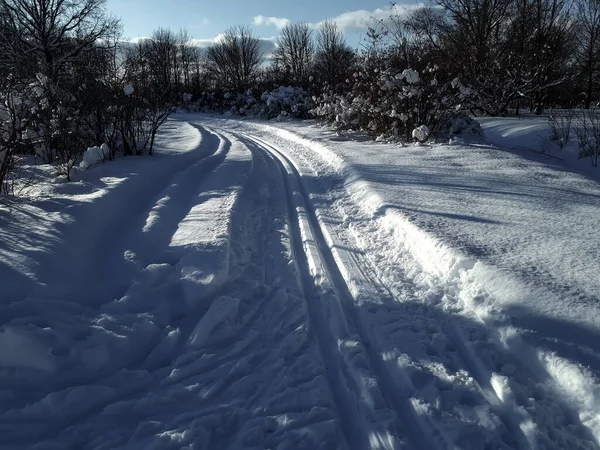 A cross-country ski track forms curved trail that disappears into the ...