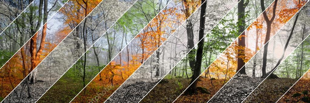 Changing seasons Stock Photos, Royalty Free Changing seasons Images ...