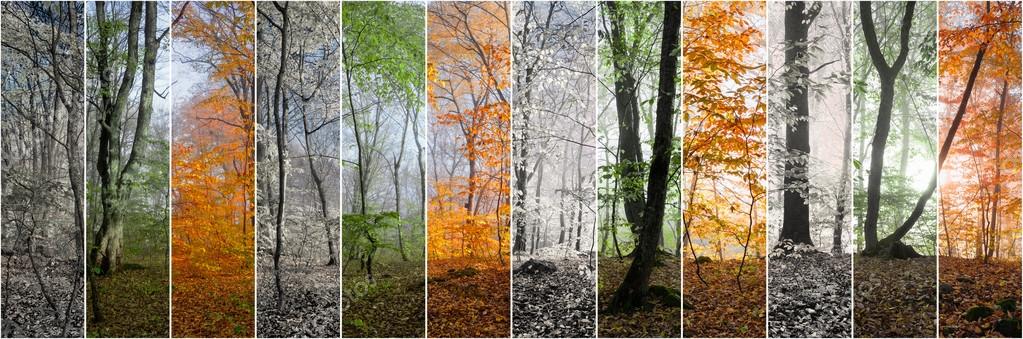 Changing seasons Stock Photos, Royalty Free Changing seasons Images ...