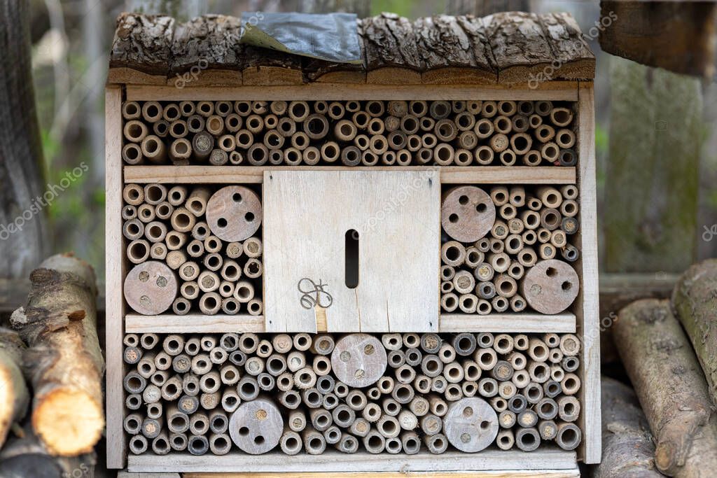 Una casa de insectos para abejas, moscas y todo tipo de insectos en el ...