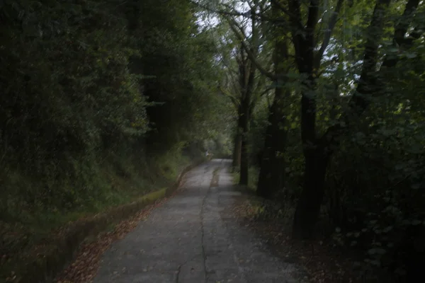 Creepy path Stock Photos, Royalty Free Creepy path Images | Depositphotos