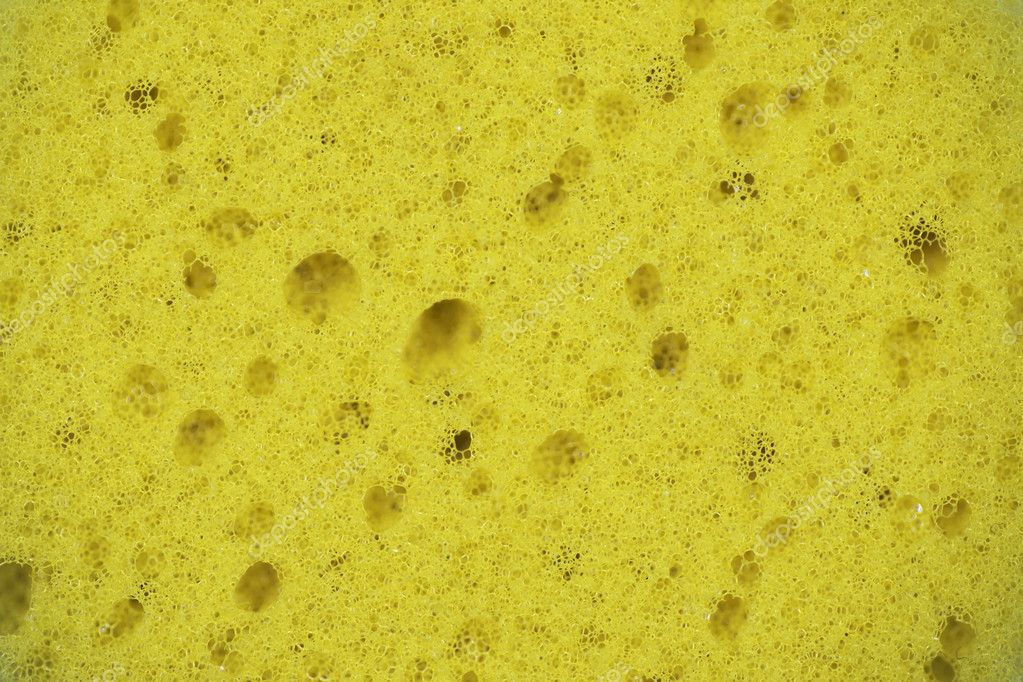 Life size of sponge texture — Stock Photo © nattul #56049265