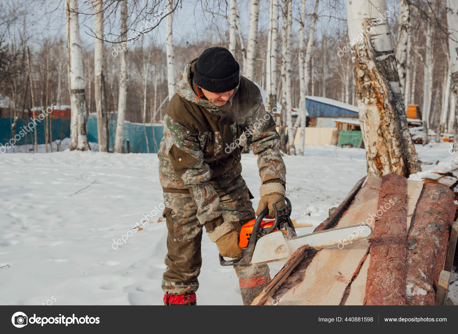 A logger saws a tree in the forest in winter, in Russia for firewood ...