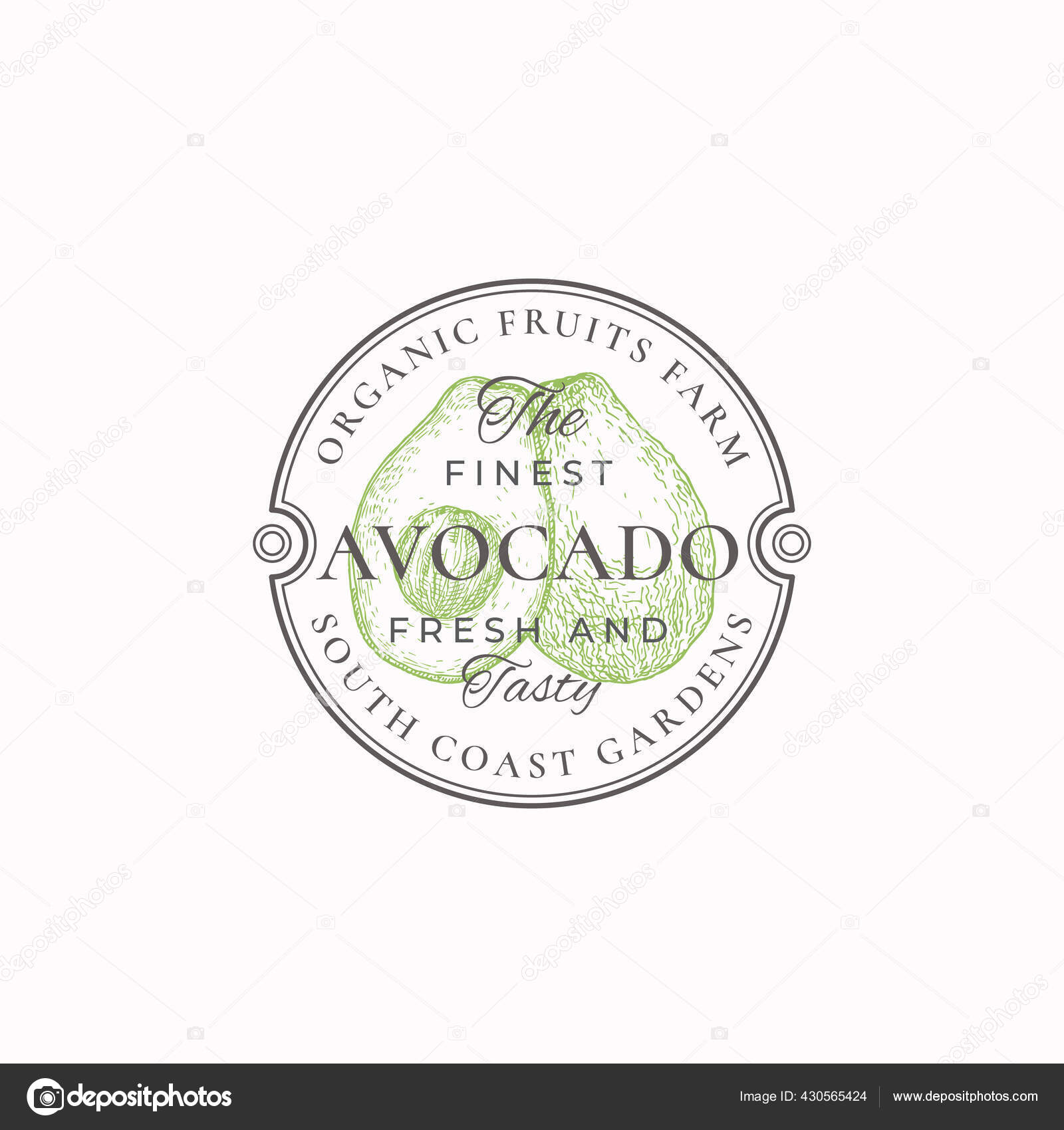 Avocado Farm Round Frame Badge or Logo Template. Hand Drawn Avocado ...
