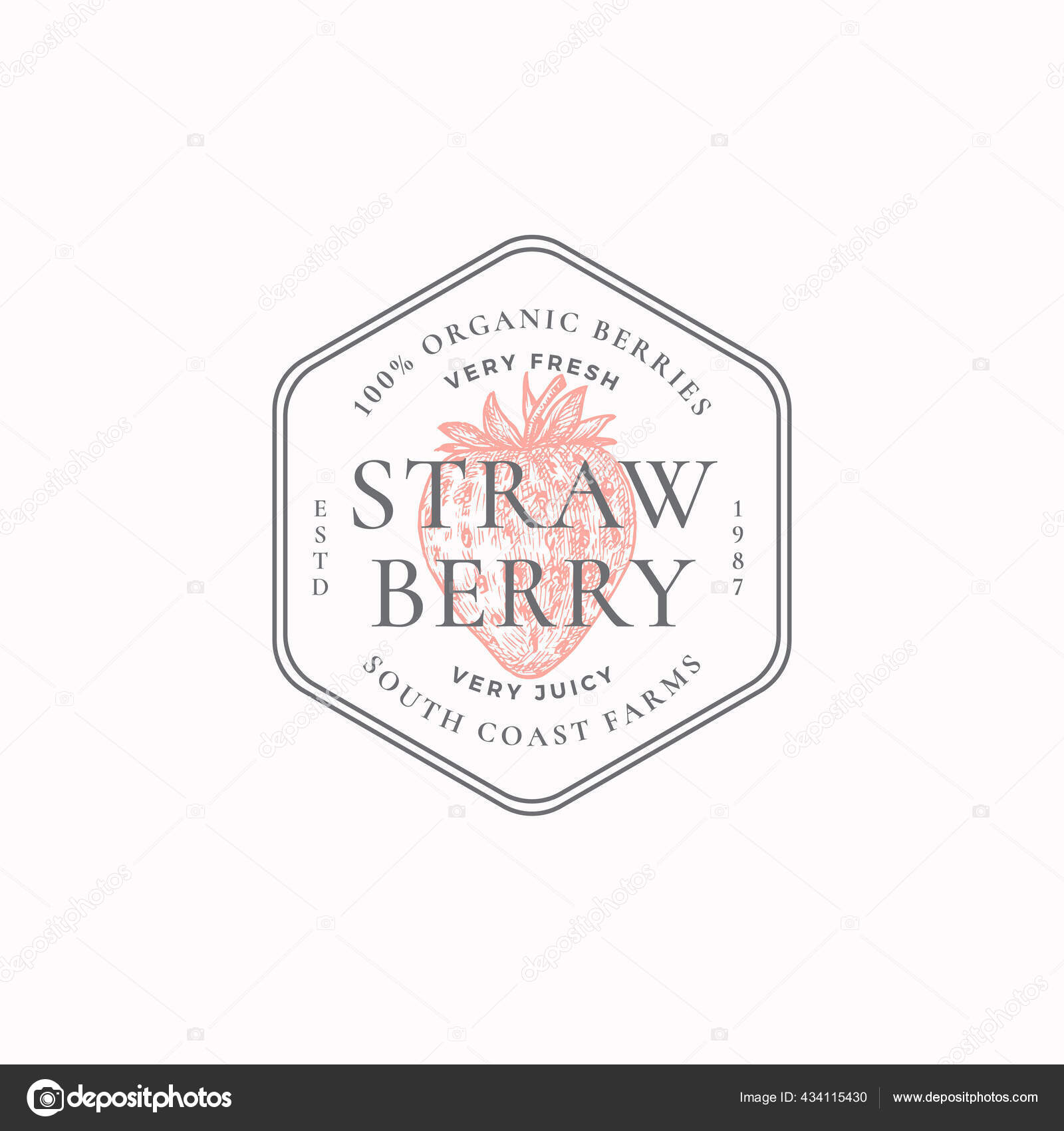 Strawberry Farm Badge or Logo Template. Hand Drawn Berries Sketch with ...