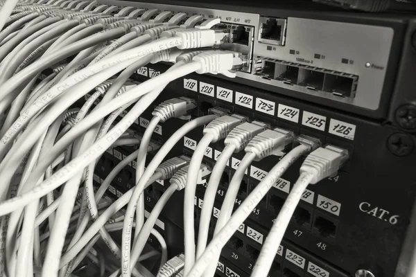 Cables in the router on the local area network - Stock Image - Everypixel