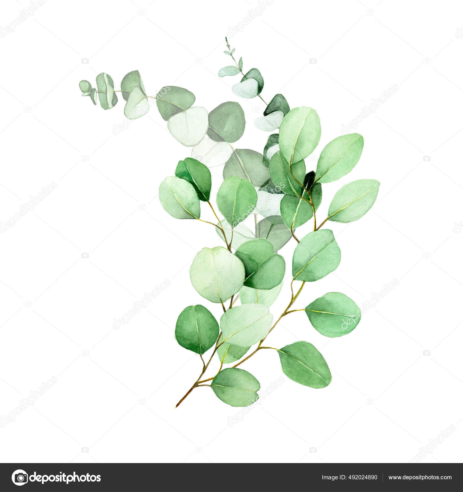 Grønne Blad Tegning