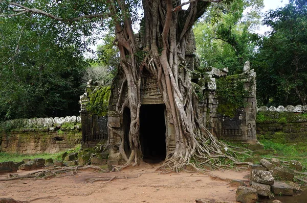 Trees in cambodia temples Stock Photos, Royalty Free Trees in cambodia ...